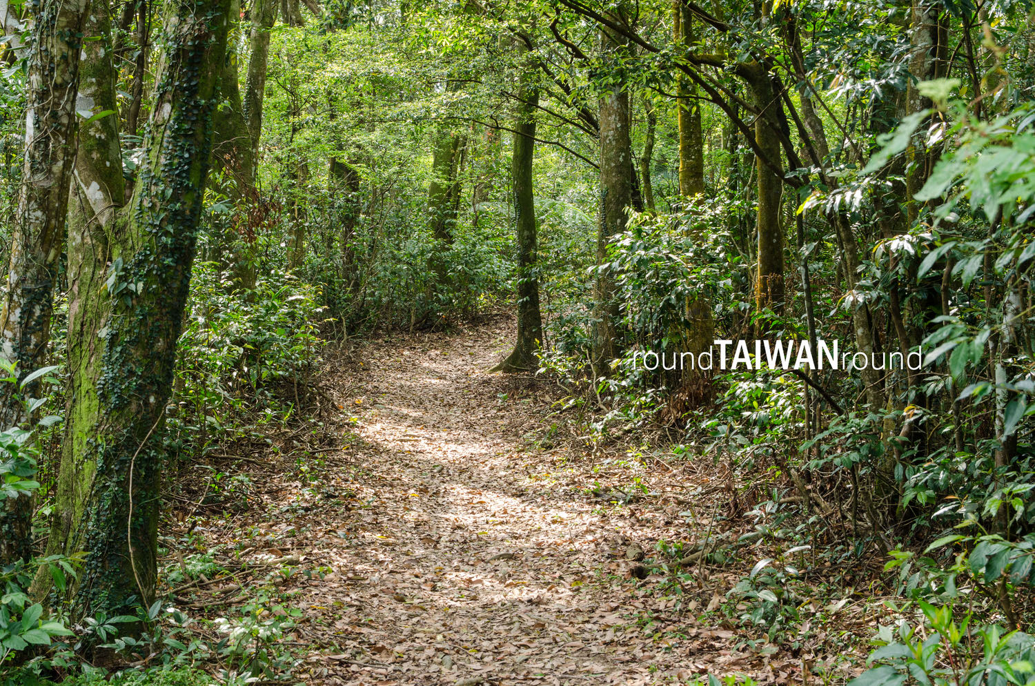 Crocodile's Head Trail - North Coast Attractions Recommended | Round ...