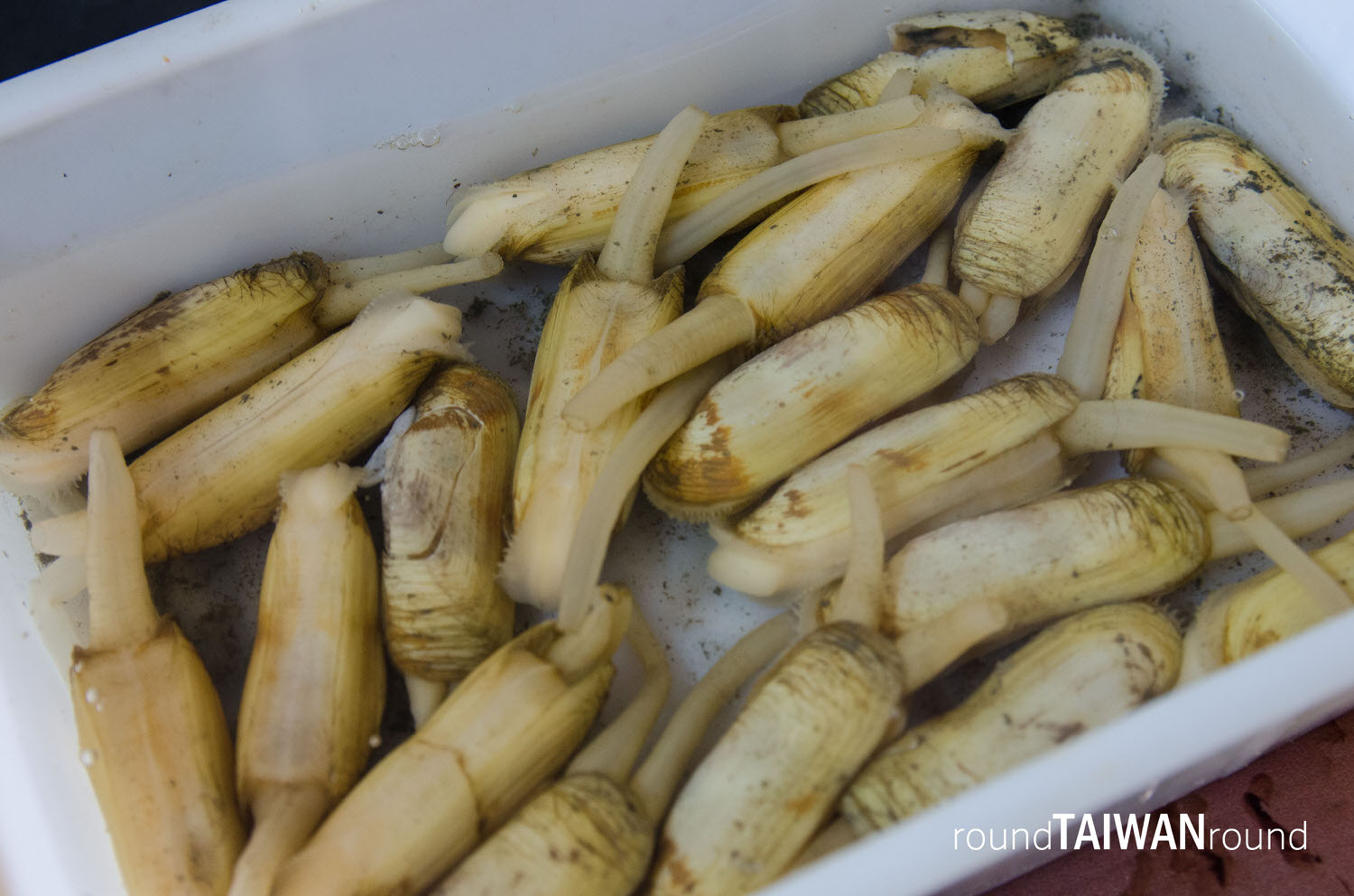 Shizi Market - Matsu Attractions Recommended | Round Taiwan Round