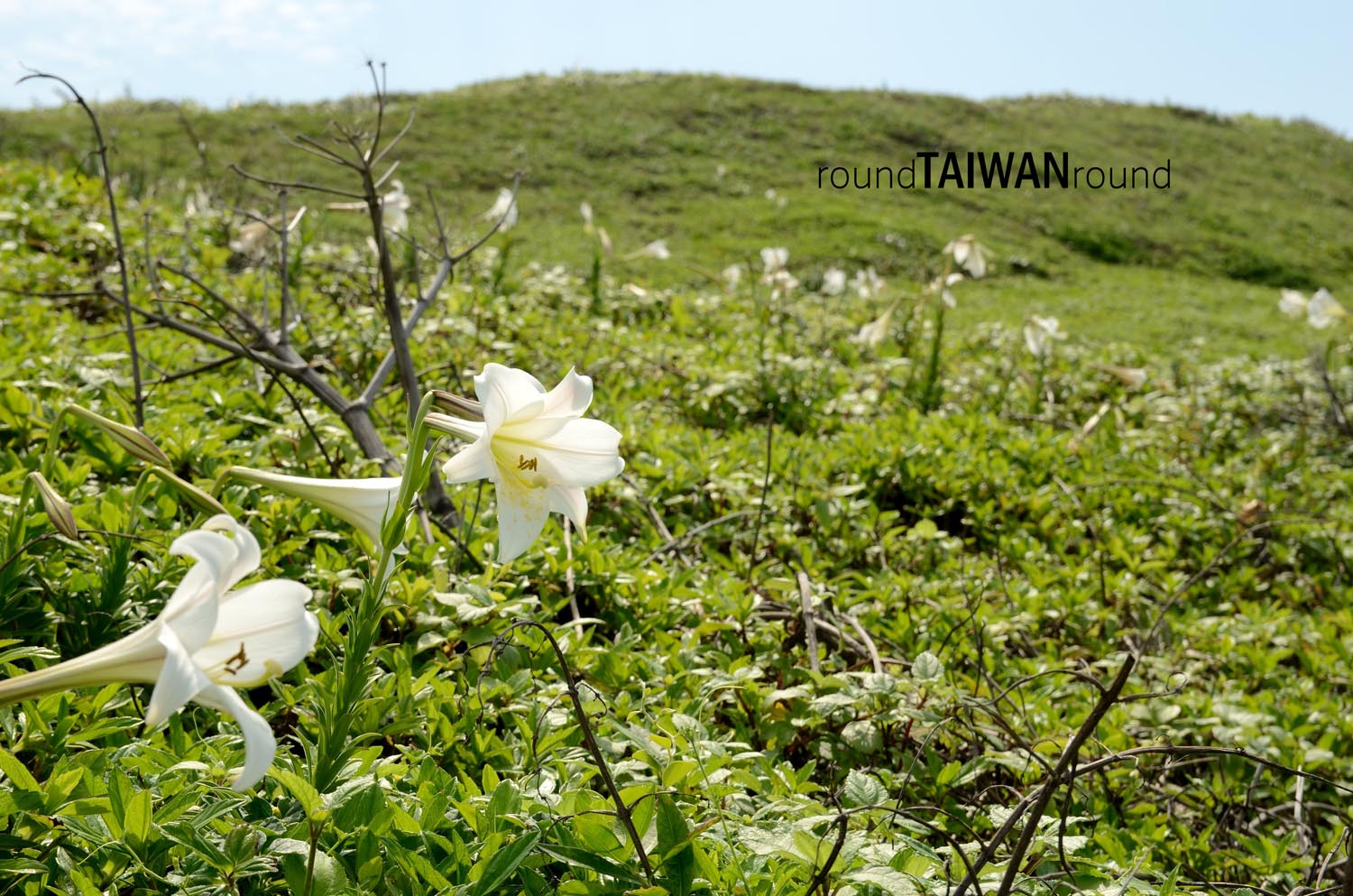 Fugui Cape Lighthouse - North Coast Attractions Recommended | Round Taiwan Round
