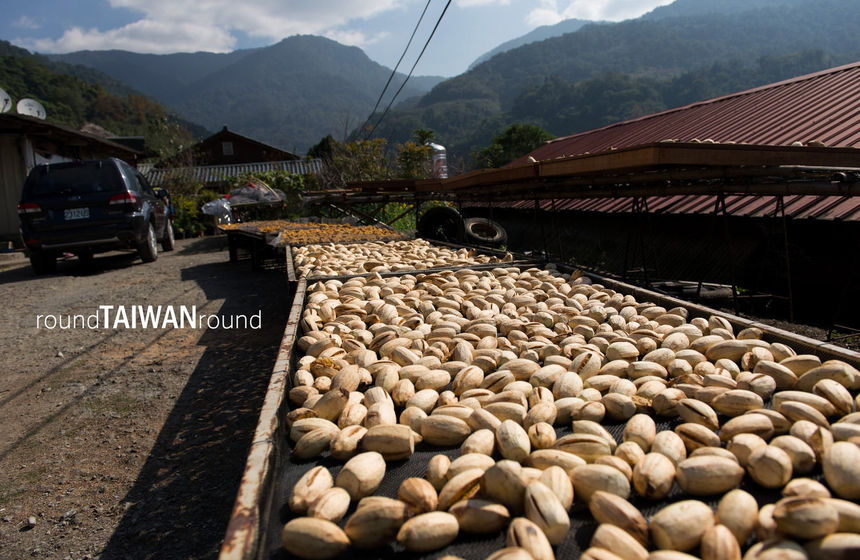Lijia Village | The Most Remote Tsou Tribe Clan in Alishan | Round ...